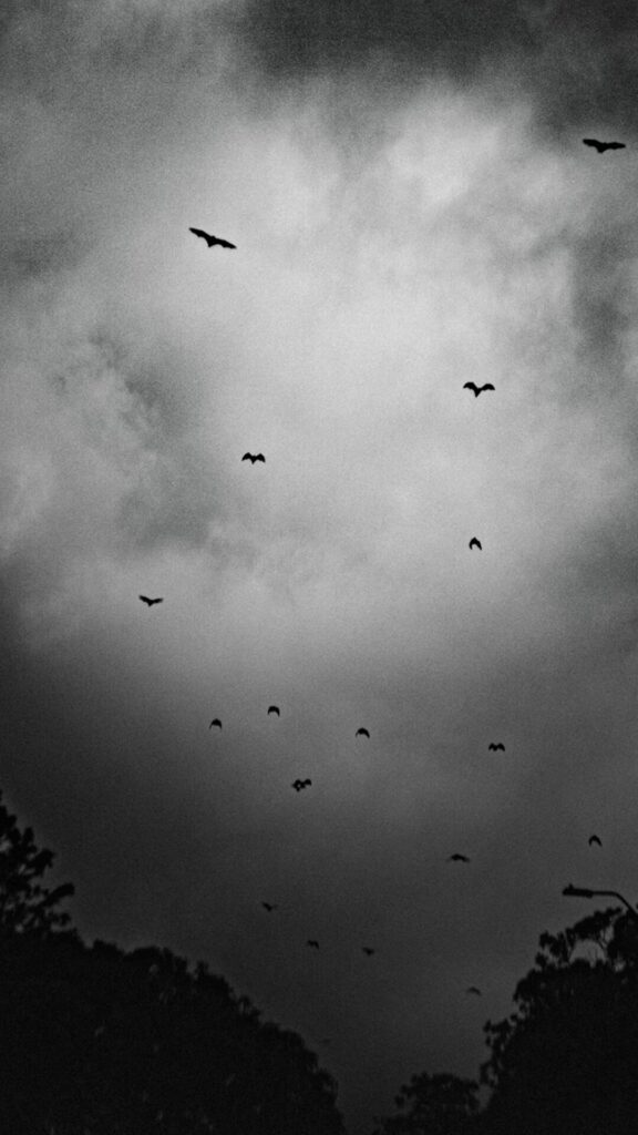 The Art of Perception: Mastering the Elements of Visual Storytelling in ...